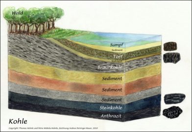 Charts: Erdöl, Ergas, Kohle – Montessori-Download